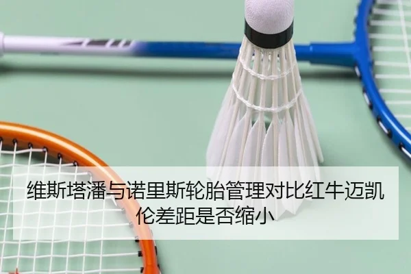 维斯塔潘与诺里斯轮胎管理对比红牛迈凯伦差距是否缩小 - 九游